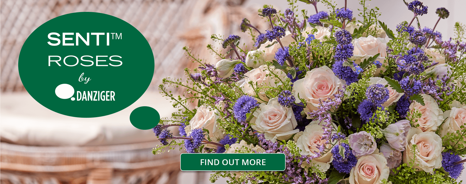 Danziger: Ornamental Flower Breeder & Young Plant Producer