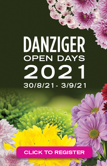 Danziger: Ornamental Flower Breeder & Young Plant Producer